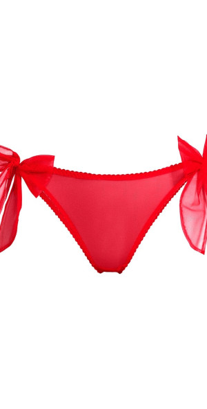 Agent Provocateur - Women's Danika Mesh Tie-Side Bikini Briefs