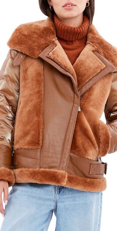 dawn levy mel jacket