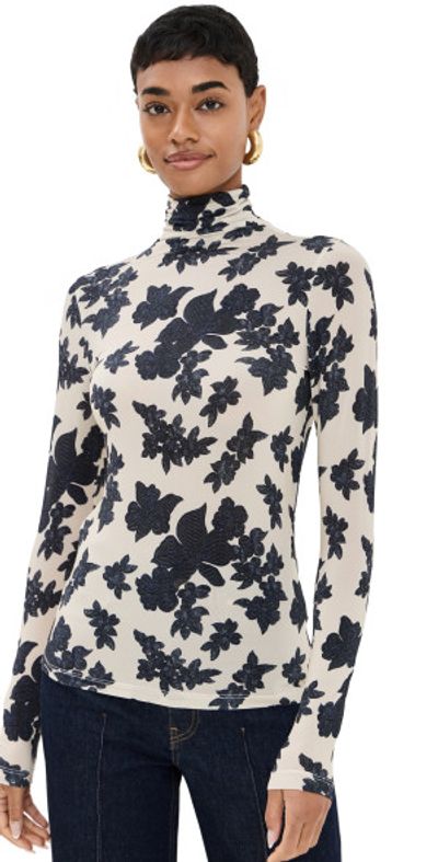 johnson's moonflower