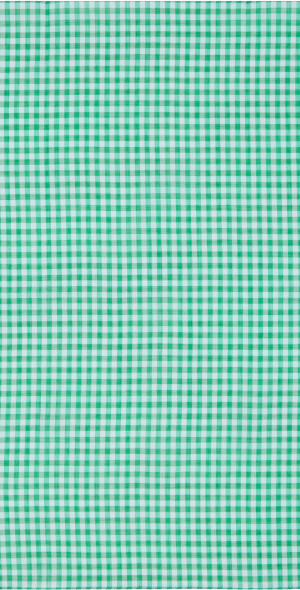 AURALEE - Green Airy Light Cotton Check Scarf