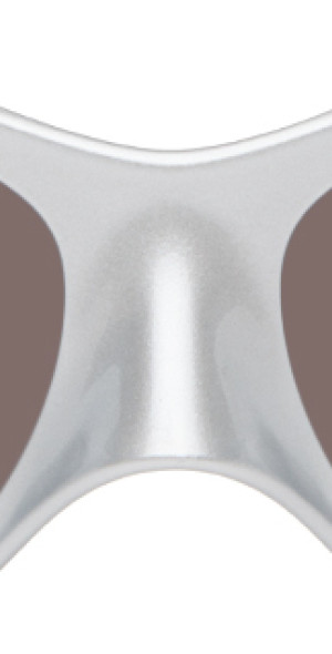 Balenciaga - Silver Skin XXL Cat Sunglasses