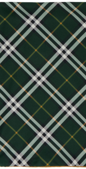 Burberry - Green Check Silk Scarf