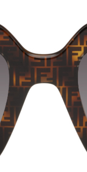 Fendi - Brown Roma Sunglasses