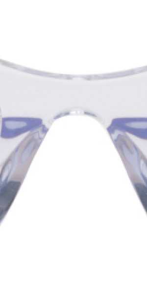 Feng Chen Wang - SSENSE Exclusive Blue Phoenix Sunglasses