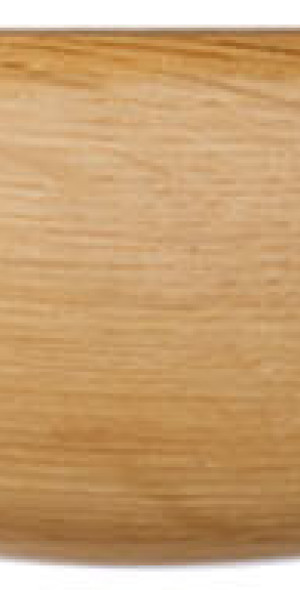 MENU - Small Gridy Fungi Shelf