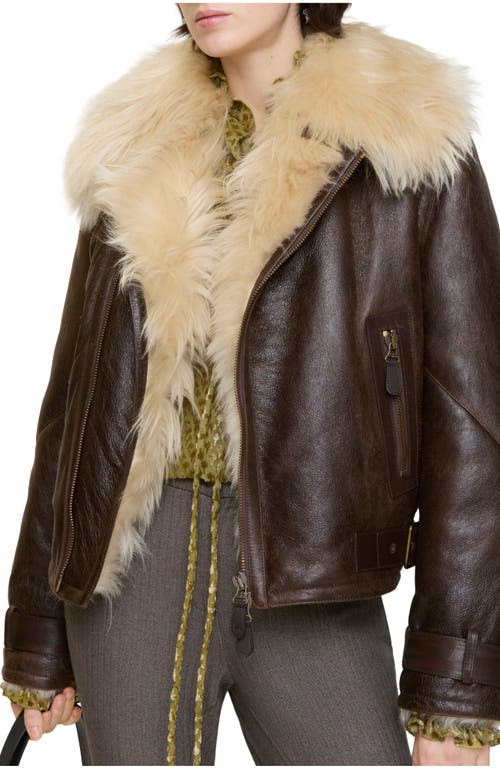 burberry - Cropped Shearling Aviator Jacket