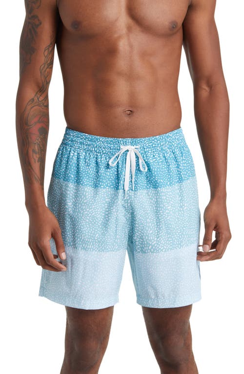 Chubbies - Classic 7-Inch Swim Trunks