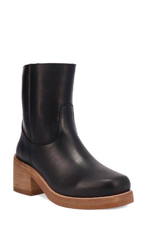 Dingo Shoes