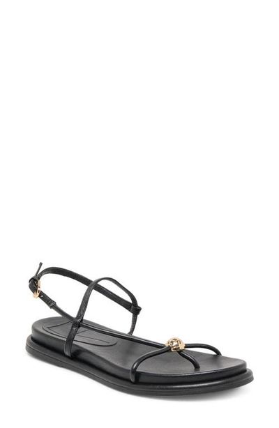 Dolce Vita - Deane Strappy Sandal