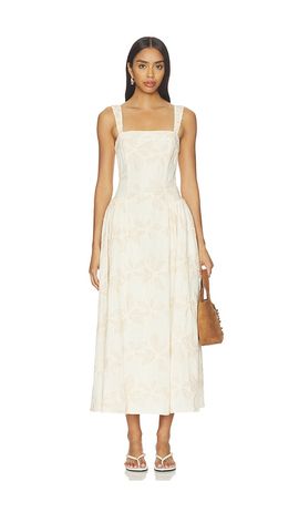 Line & Dot Dresses