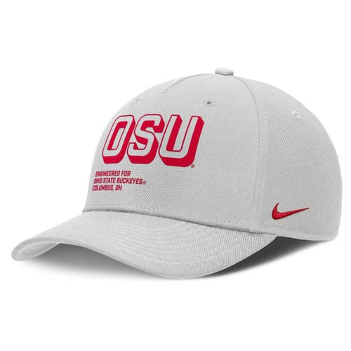Nike - Men's Gray Ohio State Buckeyes 2025 Sideline Dust Pinched Rise ...