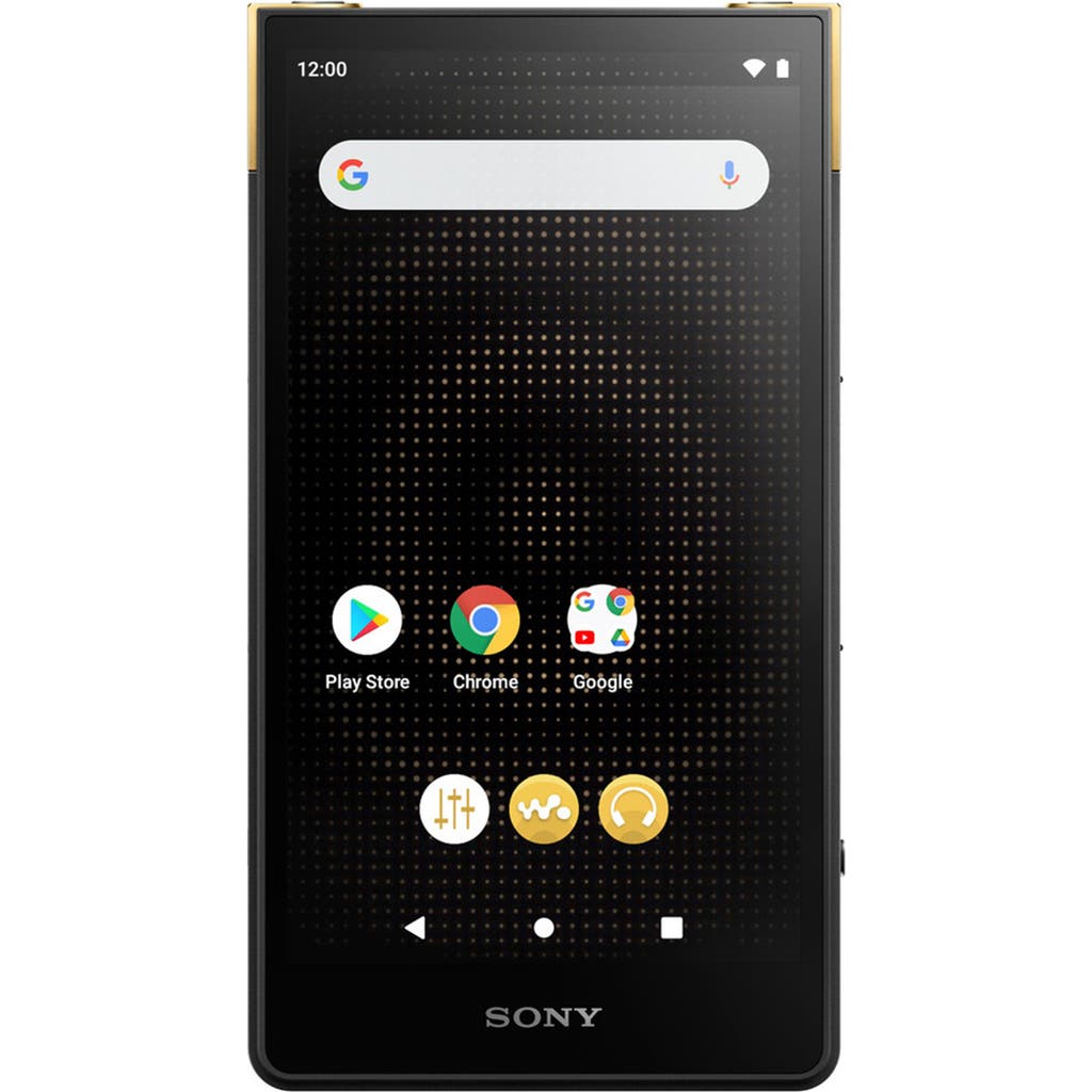 Sony - NW-ZX707 Walkman ZX Series Hi-Res Digital Music Player