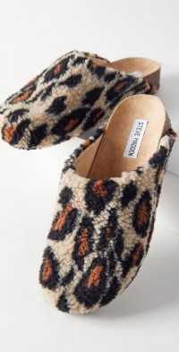 Steve Madden - Shop Women's Shoes at The Cool Hour