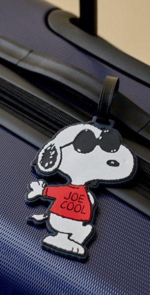 Urban Outfitters - Peanuts Snoopy & Joe Cool Luggage Tag Set in Assorted at